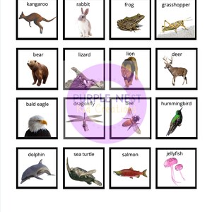 Sort Animals by How They Move Worksheet, Animals, Animal Movement ...