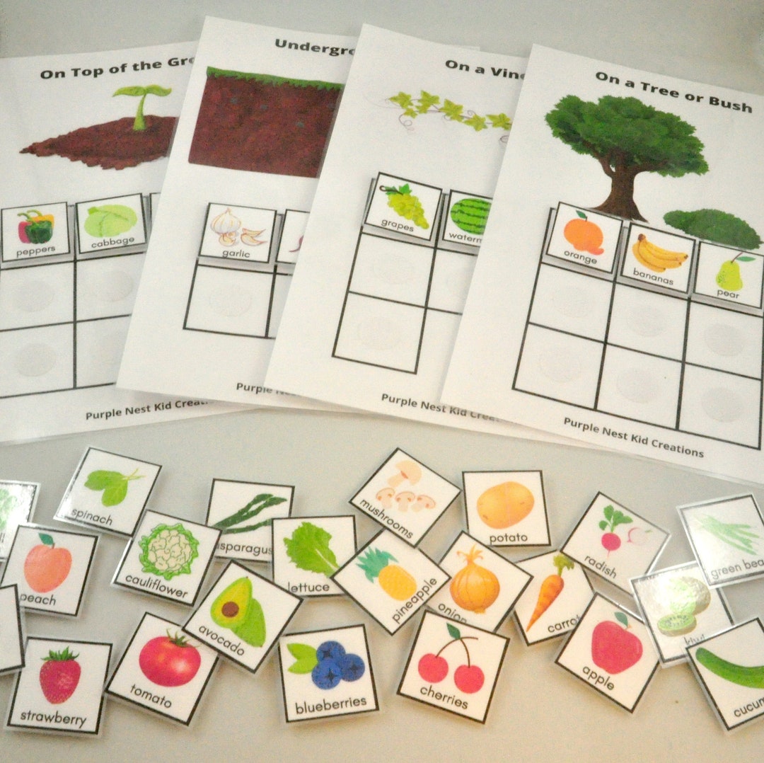 Fruits & Vegetables Sorting Mats: Educational Game (digital Download ...
