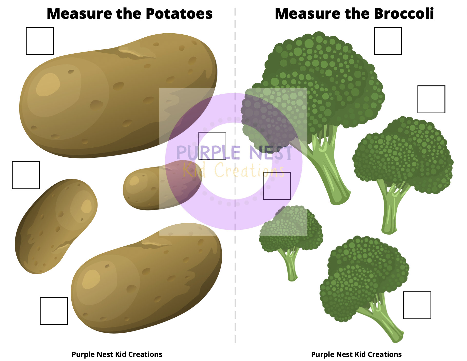 Measure the Fruits and Vegetables Measurement Activity Math | Etsy