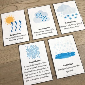 Life Cycle of a Snowflake Worksheet, Types of Precipitation, Winter ...
