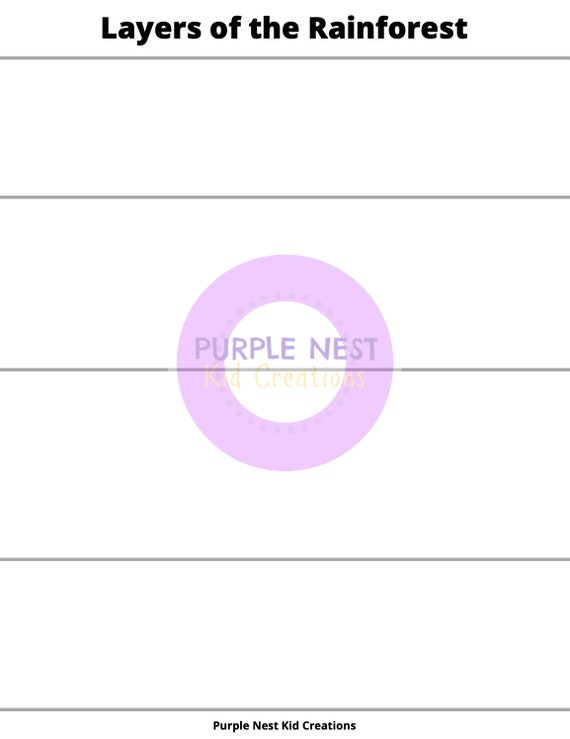 Rainforest Layers Worksheet