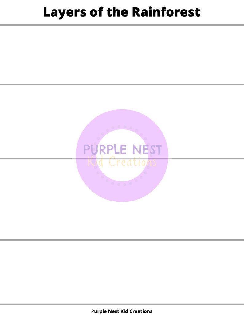 Layers of the Rainforest Worksheet, Rainforest Habitat, Geography ...