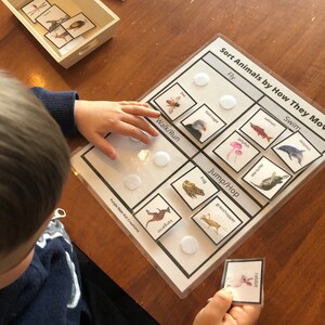 Sort Animals by How They Move Worksheet, Animals, Animal Movement ...