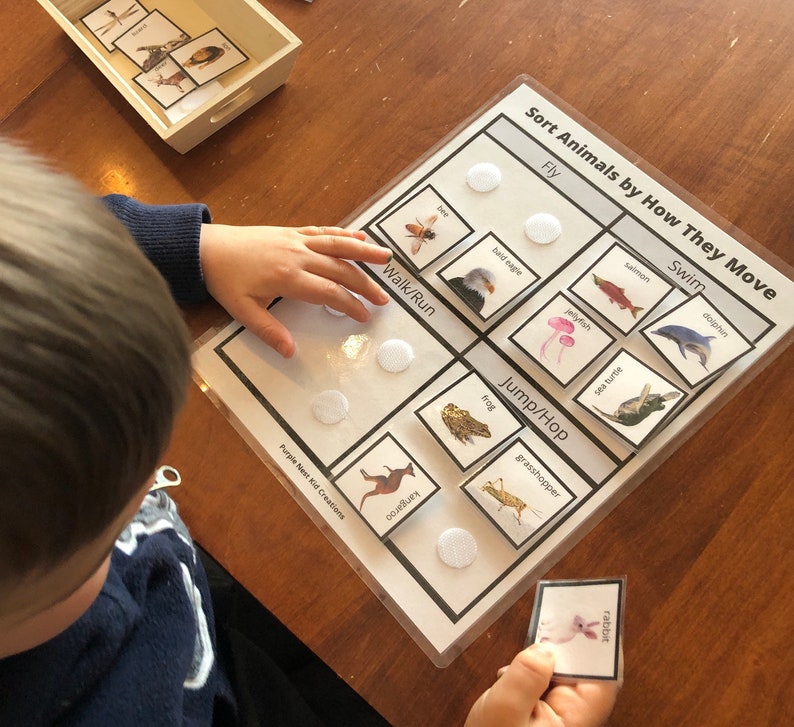 Sort Animals by How They Move Worksheet Animals Animal - Etsy