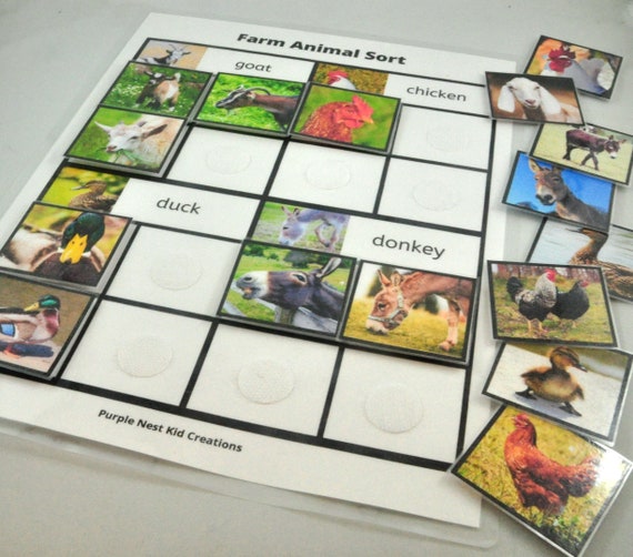 Farm Animal Sorting Worksheet