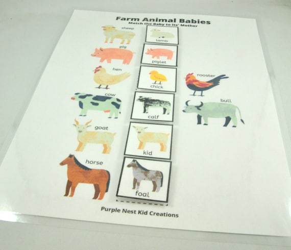 Farm Animals And Their Babies Worksheet