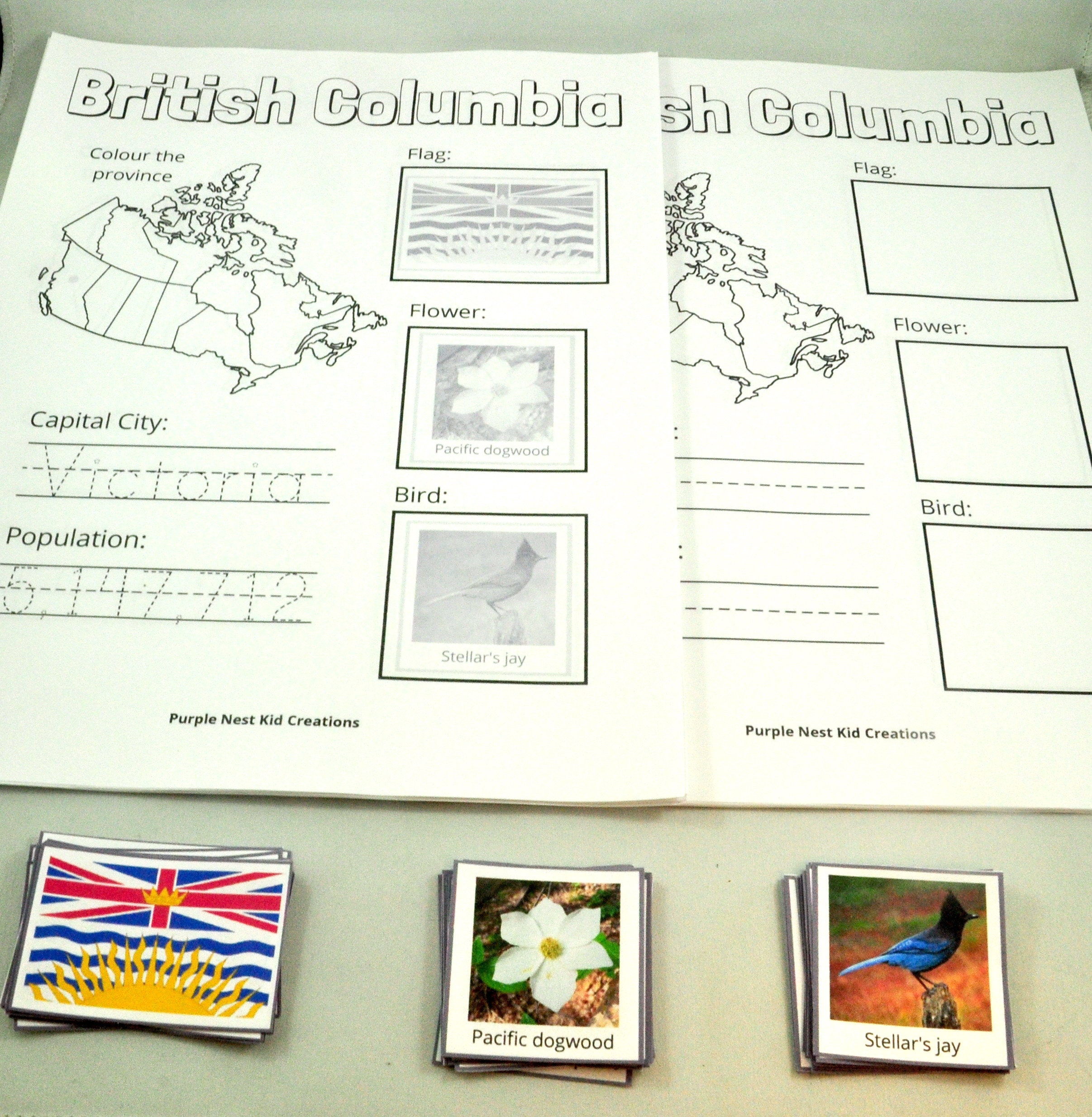 Canadian Fact Worksheets Flash Cards Provinces Territories | Etsy Canada