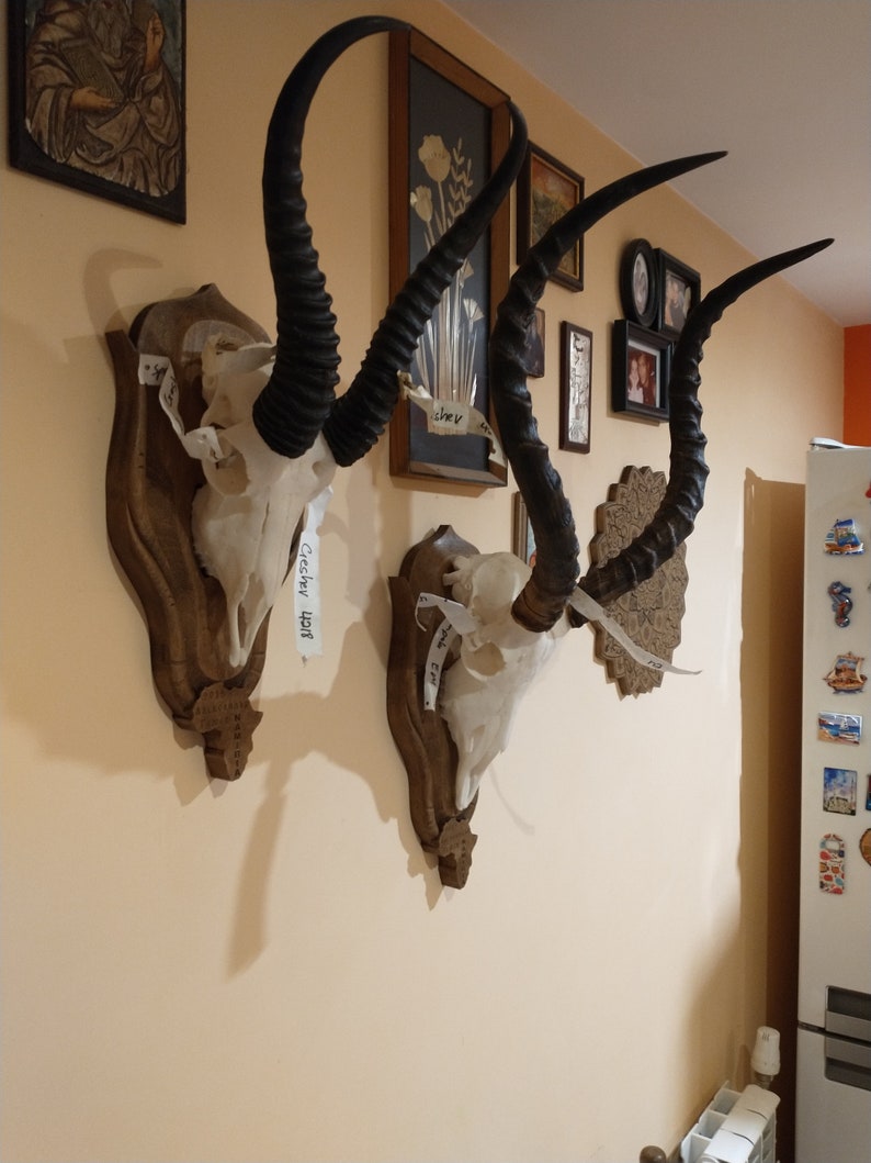 Hunting Trophy Stand. 3D Model for CNC Router Stl File - Etsy