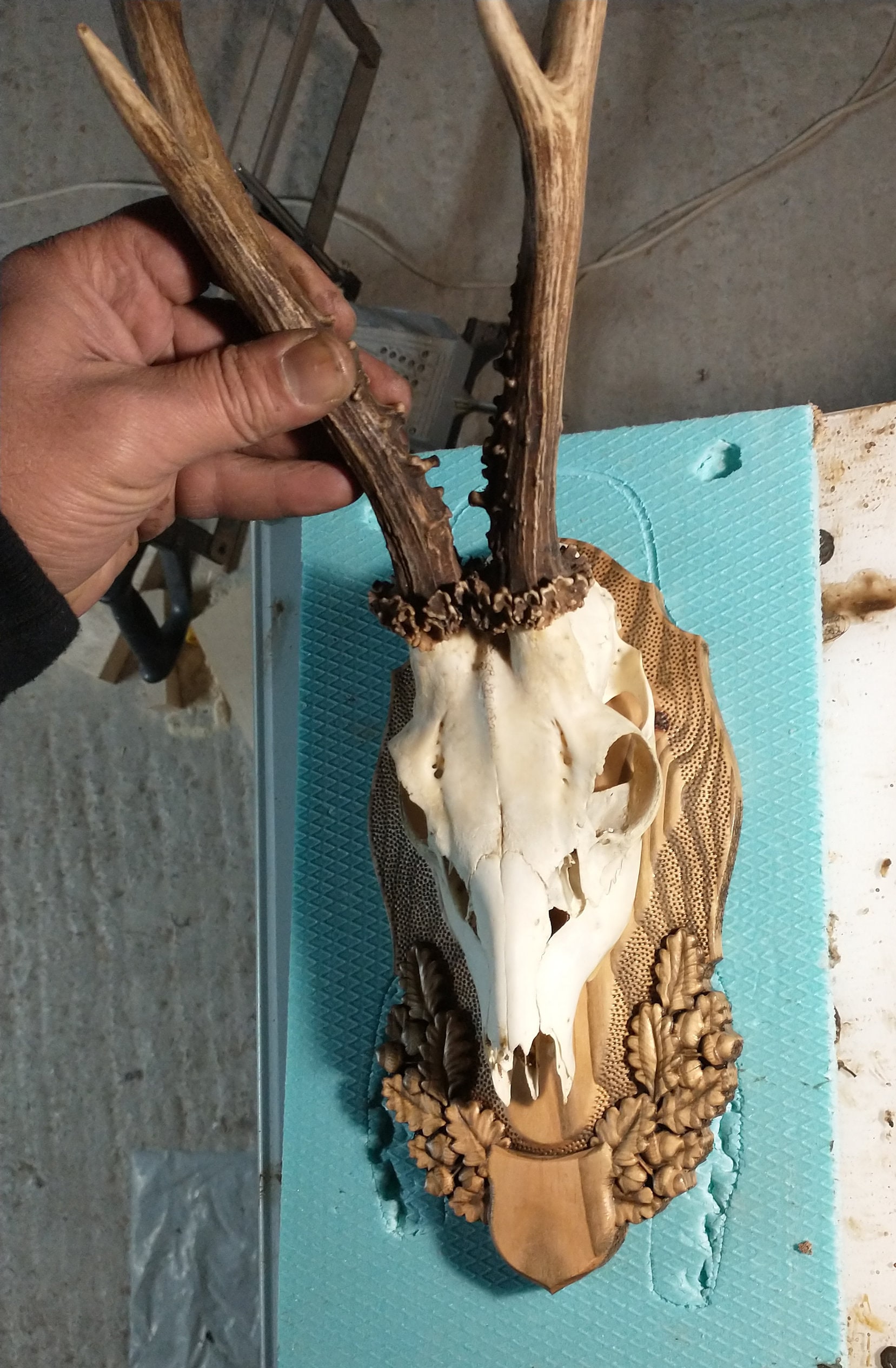 Hunting Trophy Stand for Roe Deer . 3D Model for CNC Router Stl File - Etsy