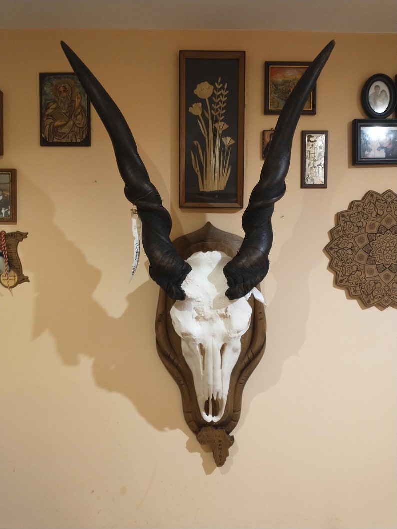 Hunting Trophy Stand. 3D Model for CNC Router Stl File - Etsy