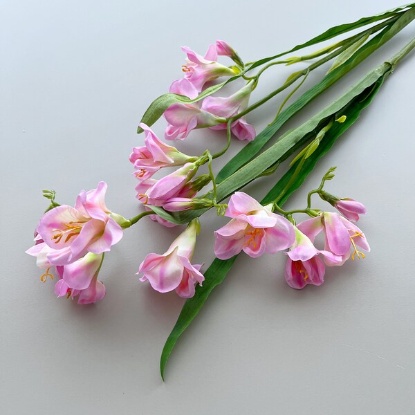 Pink Freesia - Etsy