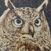Hand Burned Great Horned Owl Wood Burning on Basswood Artist Panel ...