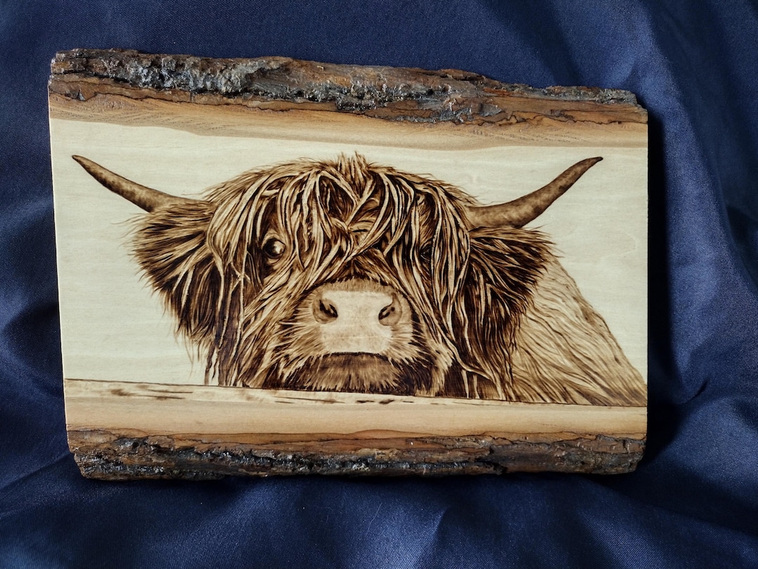 Hand Burned Highland Cow Wood Burning on Basswood With Bark Edges ...