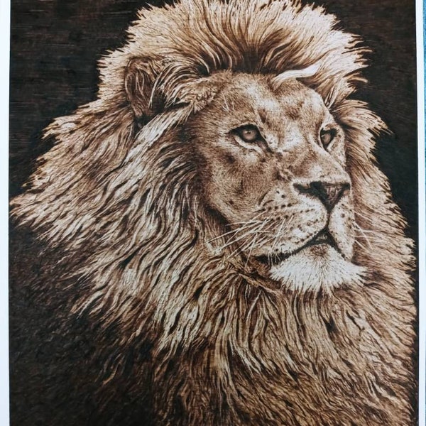 Lion Pyrography - Etsy