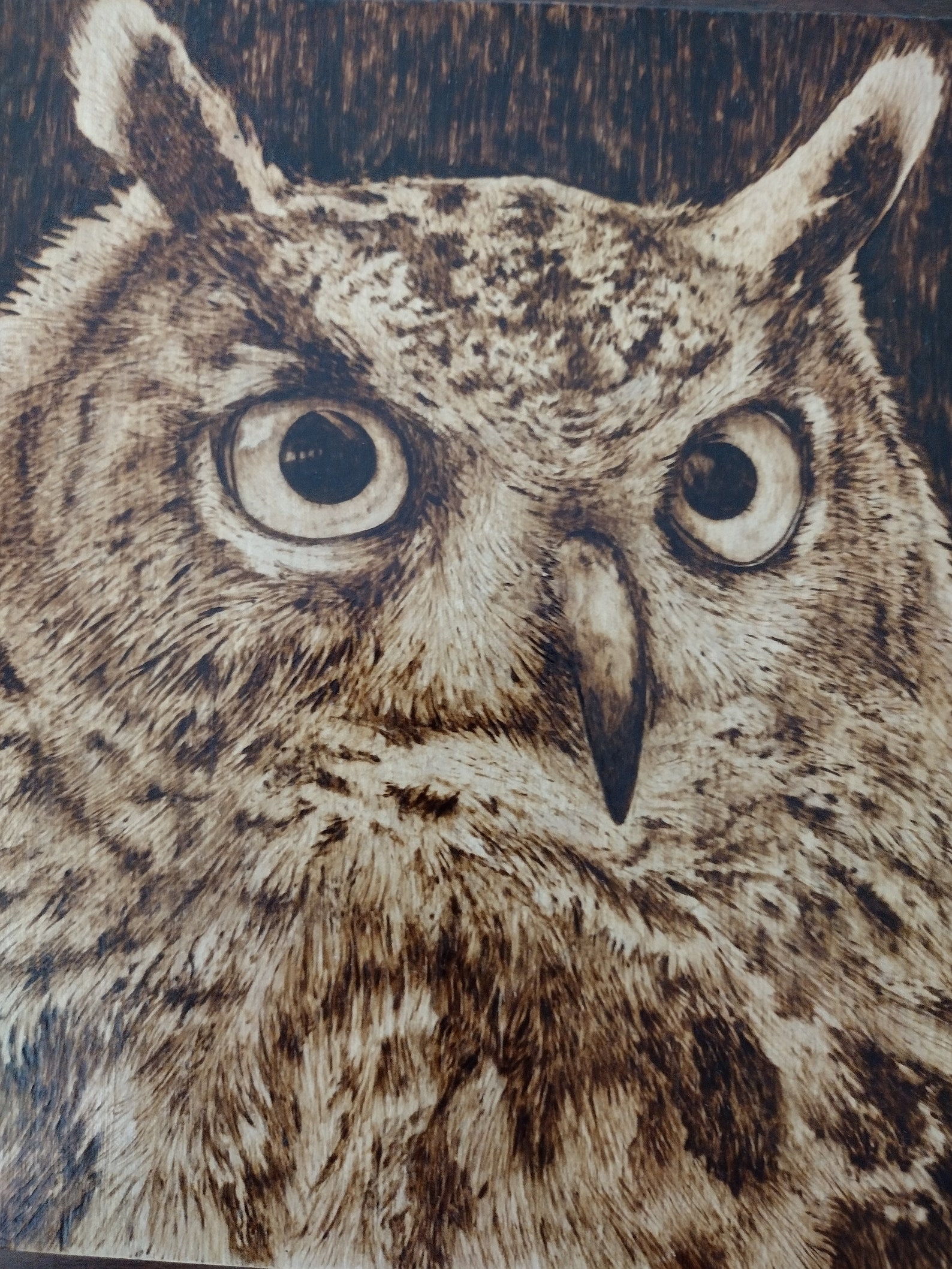 Hand Burned Great Horned Owl Wood Burning on Basswood Artist Panel ...