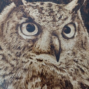 Hand Burned Great Horned Owl Wood Burning on Basswood Artist Panel ...