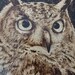 Hand Burned Great Horned Owl Wood Burning on Basswood Artist Panel ...