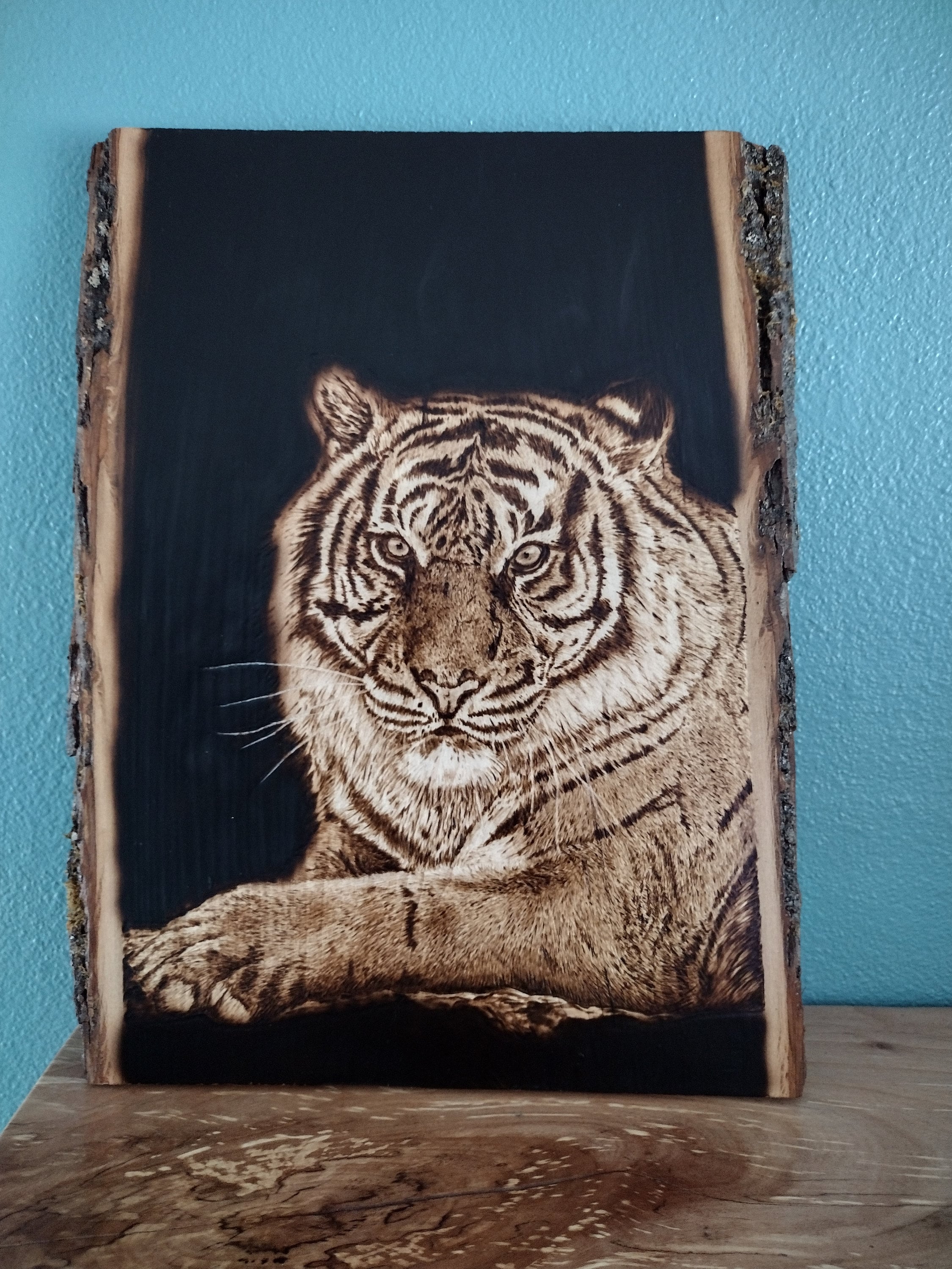 Hand Burned Tiger Wood Burning on Basswood With Bark. Pyrography, Great ...