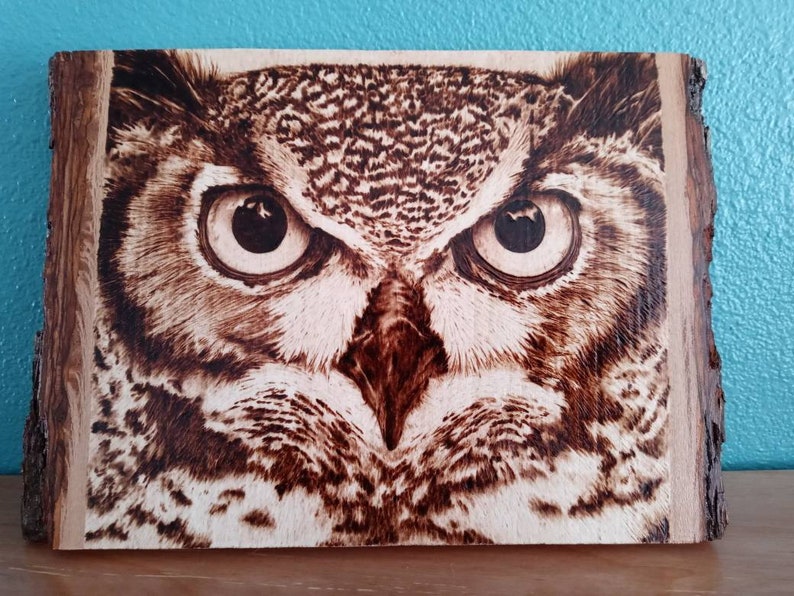 Handmade Great Horned Owl Wood Burning on Basswood Plank With Bark ...
