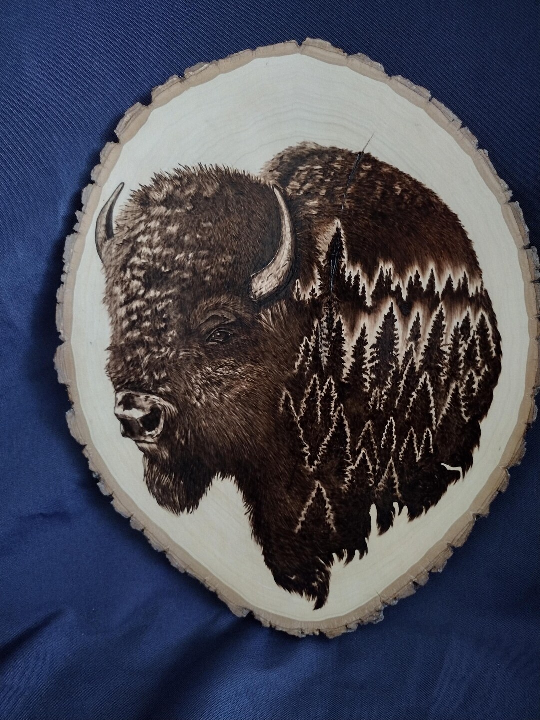 Hand Burned Bison Forest Wood Burning on Basswood Round With Bark ...