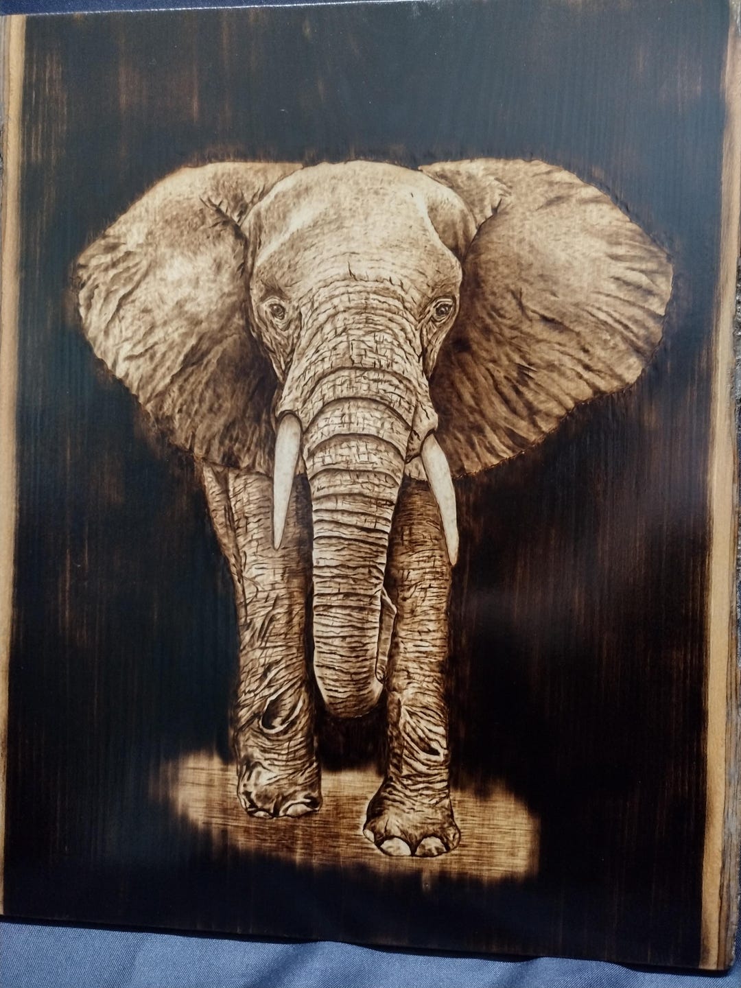 Hand Burned XL Elephant Wood Burning on Basswood With Bark. Pyrography ...