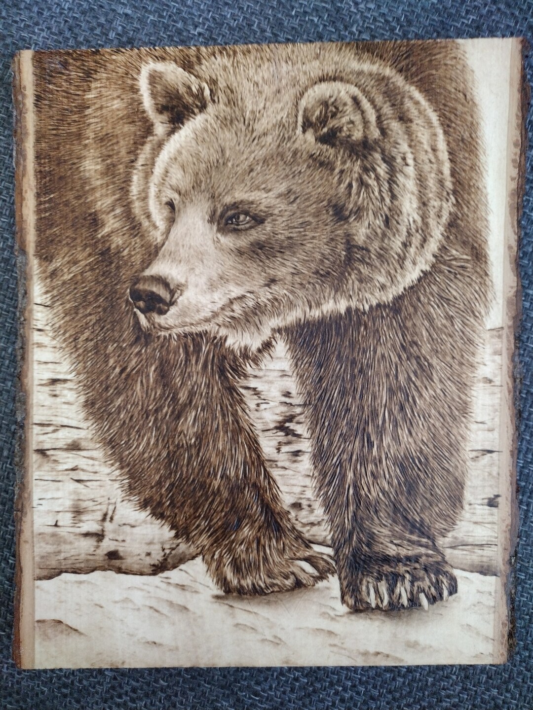 Hand Burned Grizzly Bear Wood Burning on Basswood With Bark. Pyrography ...