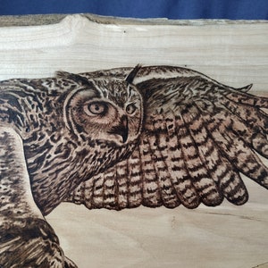 Large Hand Burned Flying Great Horned Owl Wood Burning on Cherry Wood ...