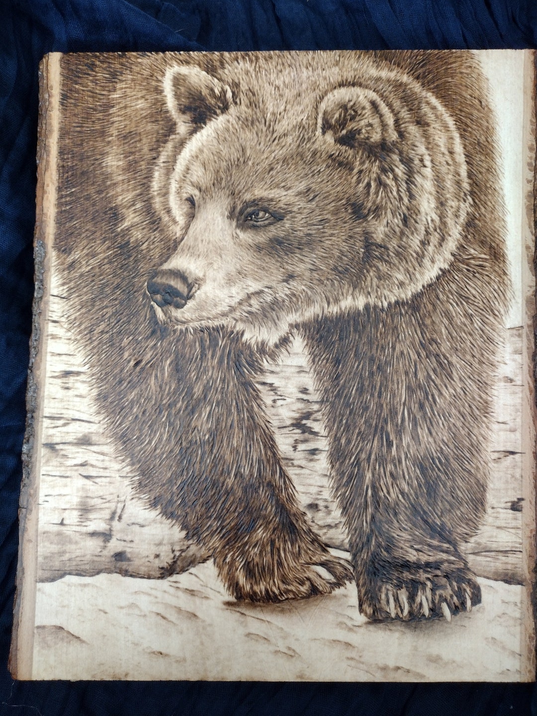 Hand Burned Grizzly Bear Wood Burning on Basswood With Bark. Pyrography ...