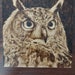 Hand Burned Great Horned Owl Wood Burning on Basswood Artist Panel ...