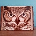 Handmade Great Horned Owl Wood Burning on Basswood Plank With Bark ...