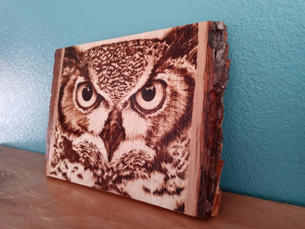 Handmade Great Horned Owl Wood Burning on Basswood Plank With Bark ...