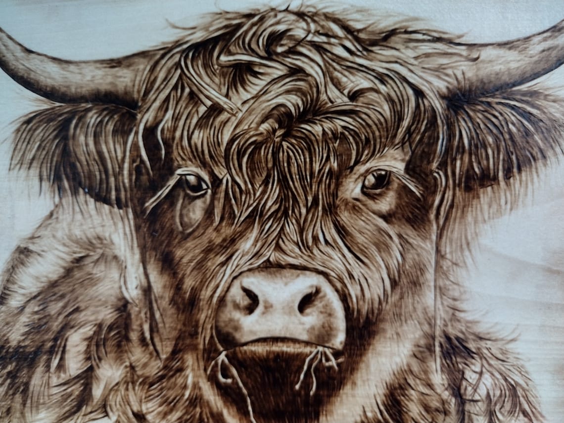 Hand Burned Highland Cow Wood Burning on Basswood With Bark. Pyrography ...