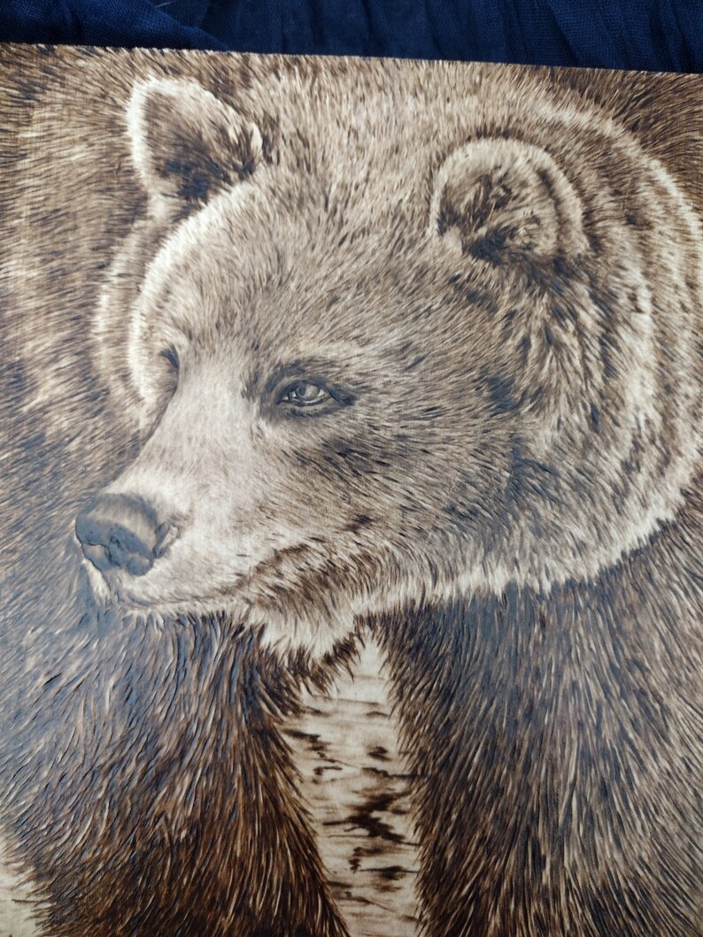 Hand Burned Grizzly Bear Wood Burning on Basswood With Bark. Pyrography ...
