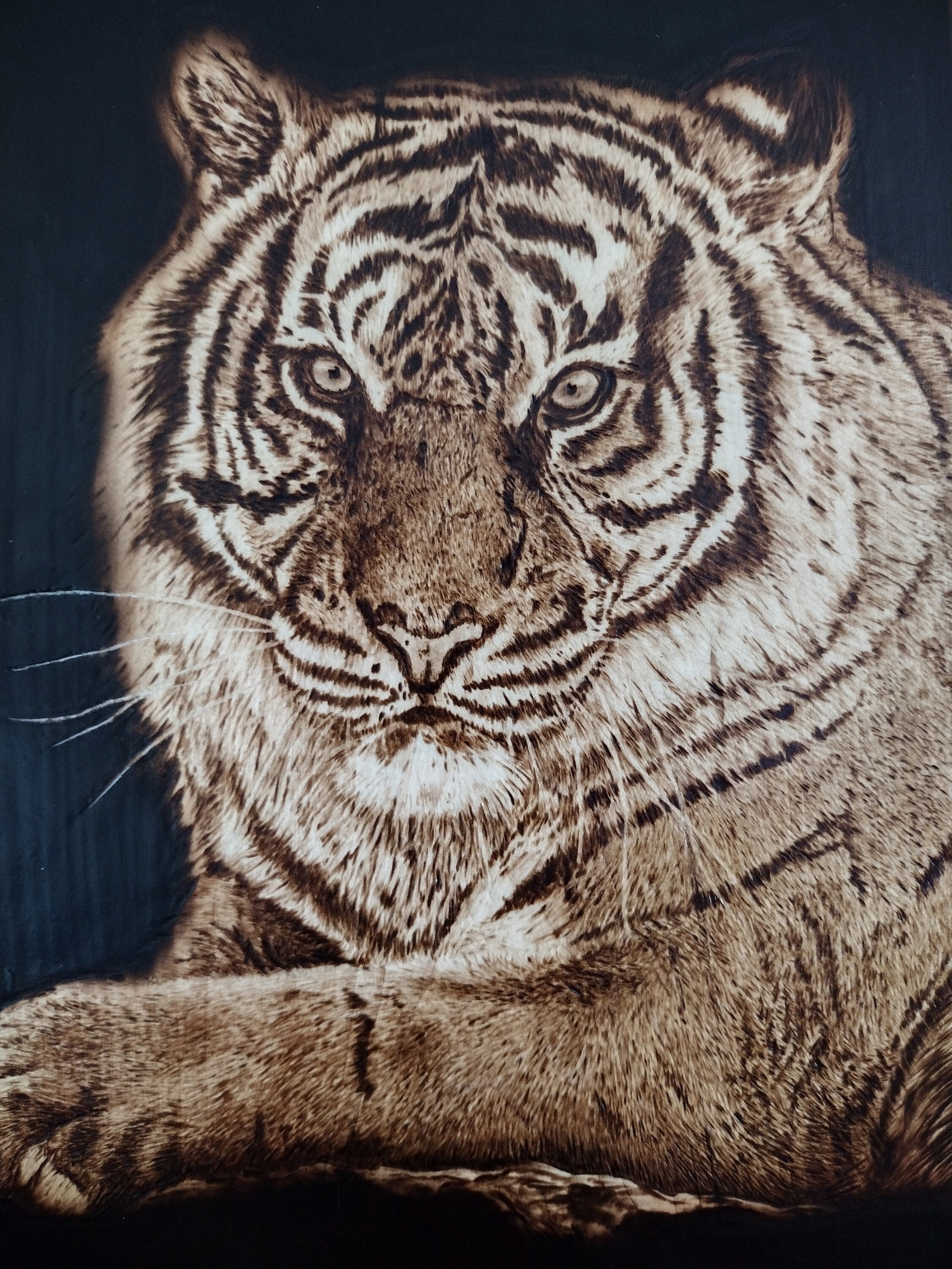 Hand Burned Tiger Wood Burning on Basswood With Bark. Pyrography, Great ...
