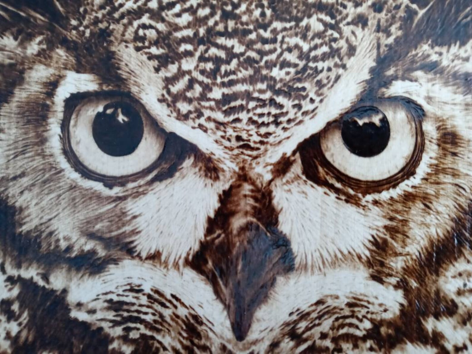 Handmade Great Horned Owl Wood Burning on Basswood Plank With Bark ...