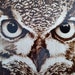 Handmade Great Horned Owl Wood Burning on Basswood Plank With Bark ...