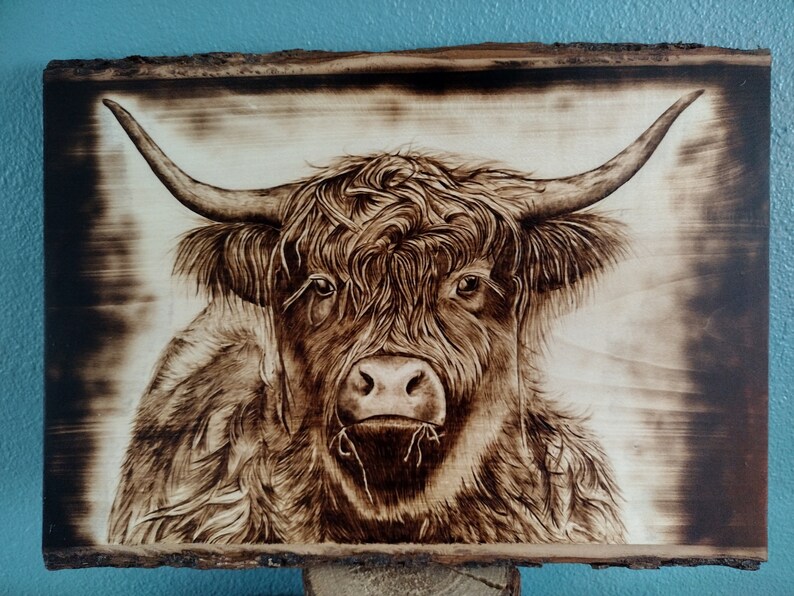Hand Burned Highland Cow Wood Burning on Basswood With Bark. Pyrography ...