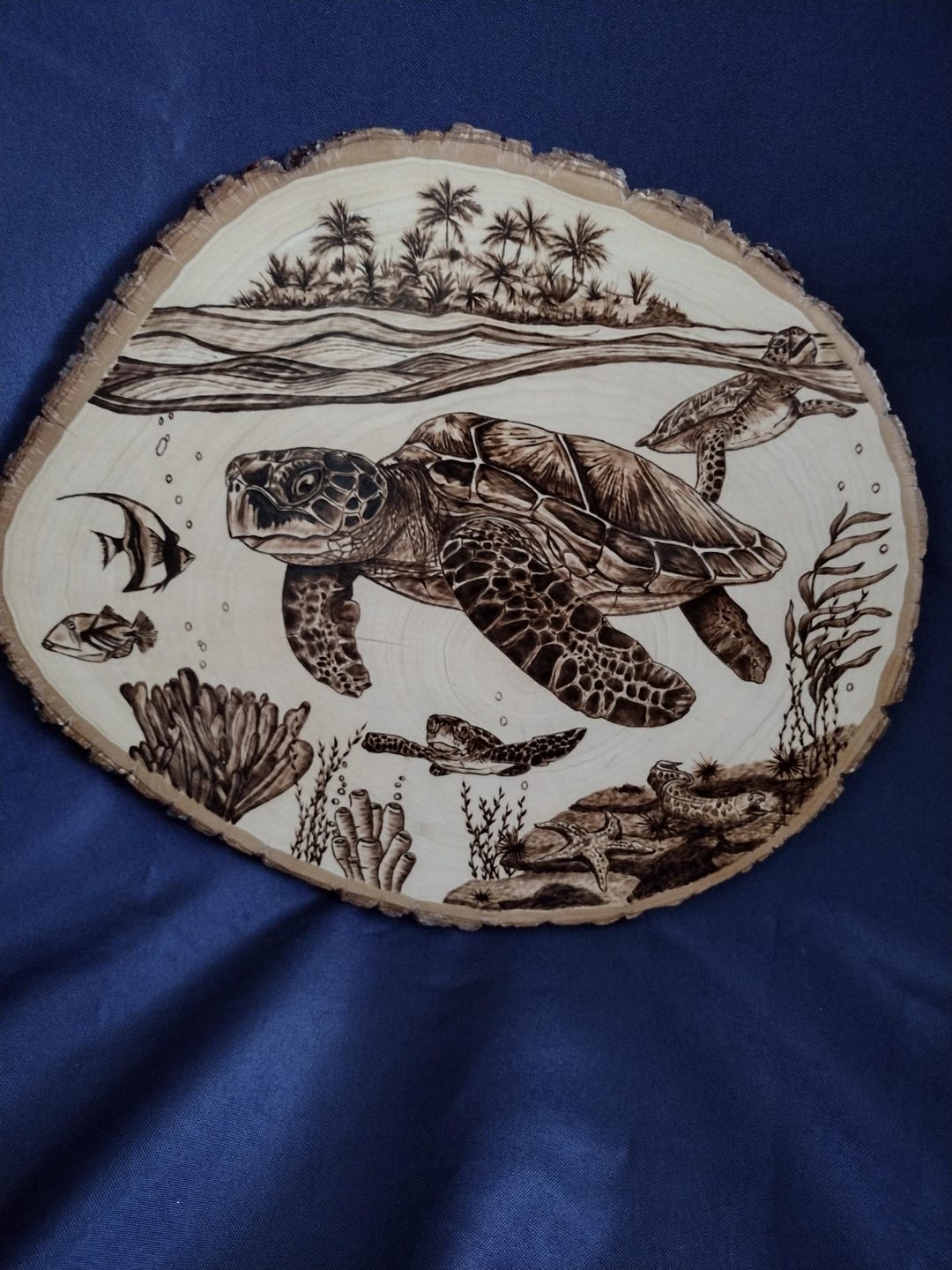 Hand Burned Sea Turtles Wood Burning on Basswood Round With Bark ...