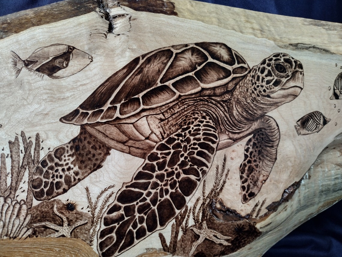 Hand Burned Sea Turtle Wood Burning on Maple Wood Live Edges. Pyrography, Great Gift - Etsy