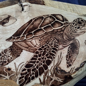 Hand Burned Sea Turtle Wood Burning on Maple Wood Live Edges ...