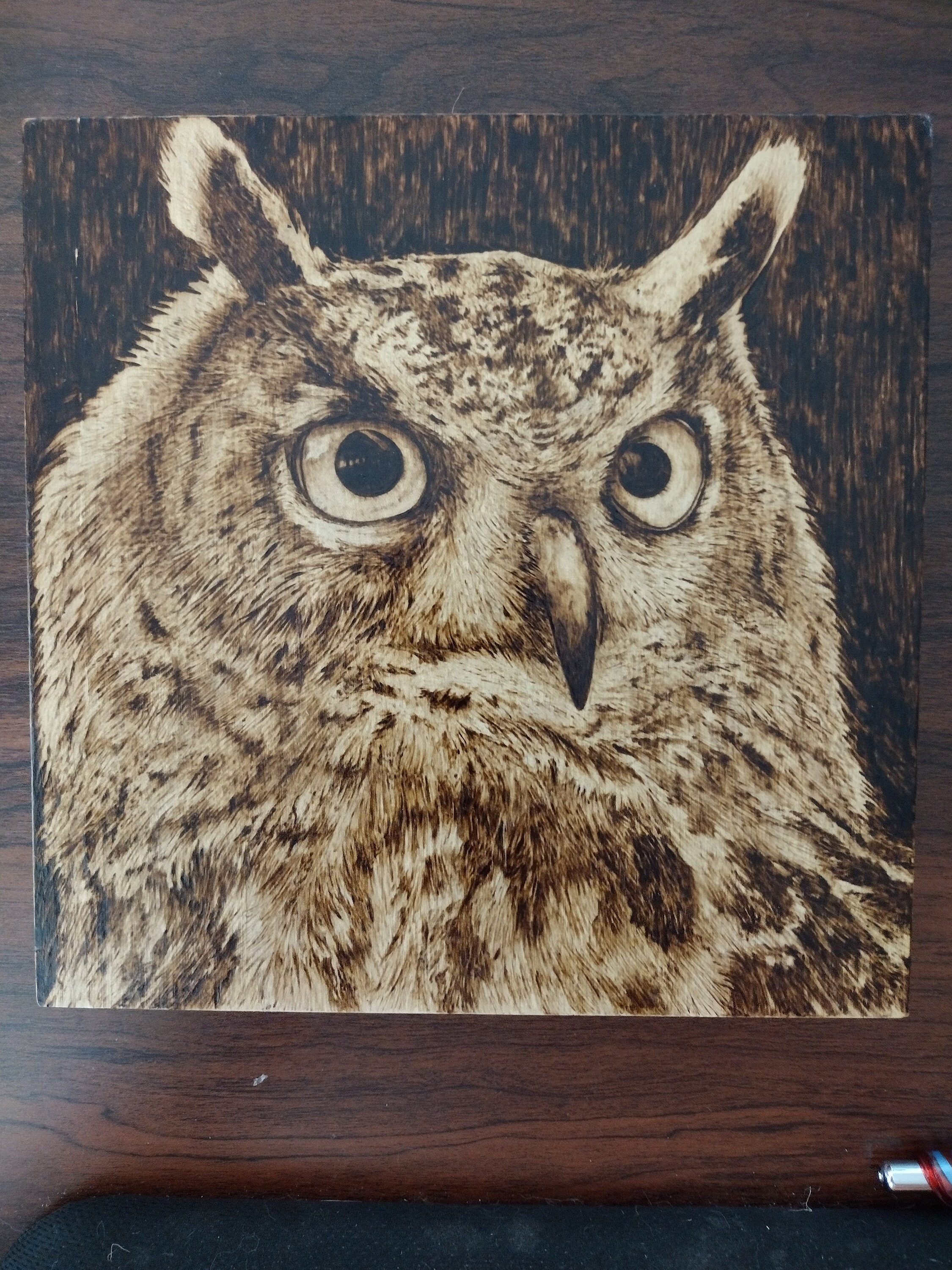 Hand Burned Great Horned Owl Wood Burning on Basswood Artist Panel ...