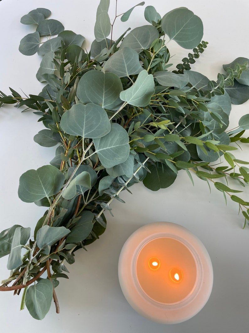 Fresh Greenery// Fresh Eucalyptus Bouquet/ Eco Printing // Parvifolia ...