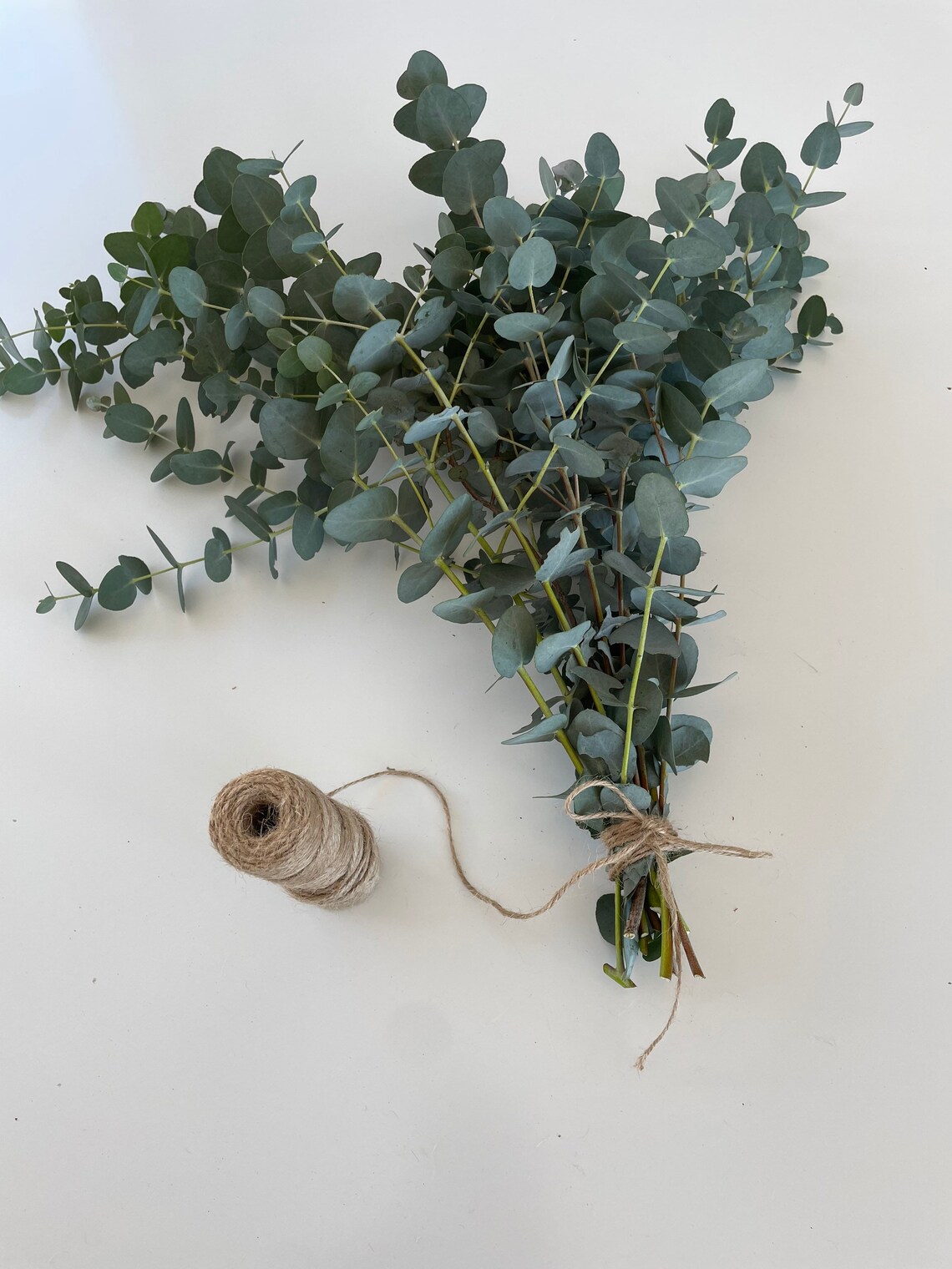 Fresh Gunni Eucalyptus/ Wedding/ Greenery/ Bouquet/ Silver | Etsy