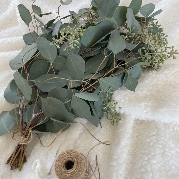 Seeded Eucalyptus - Etsy