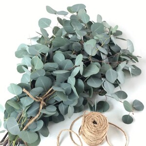 DIY Wedding Greenery // Eucalyptus Mix // DIY Wedding Eucalyptus ...