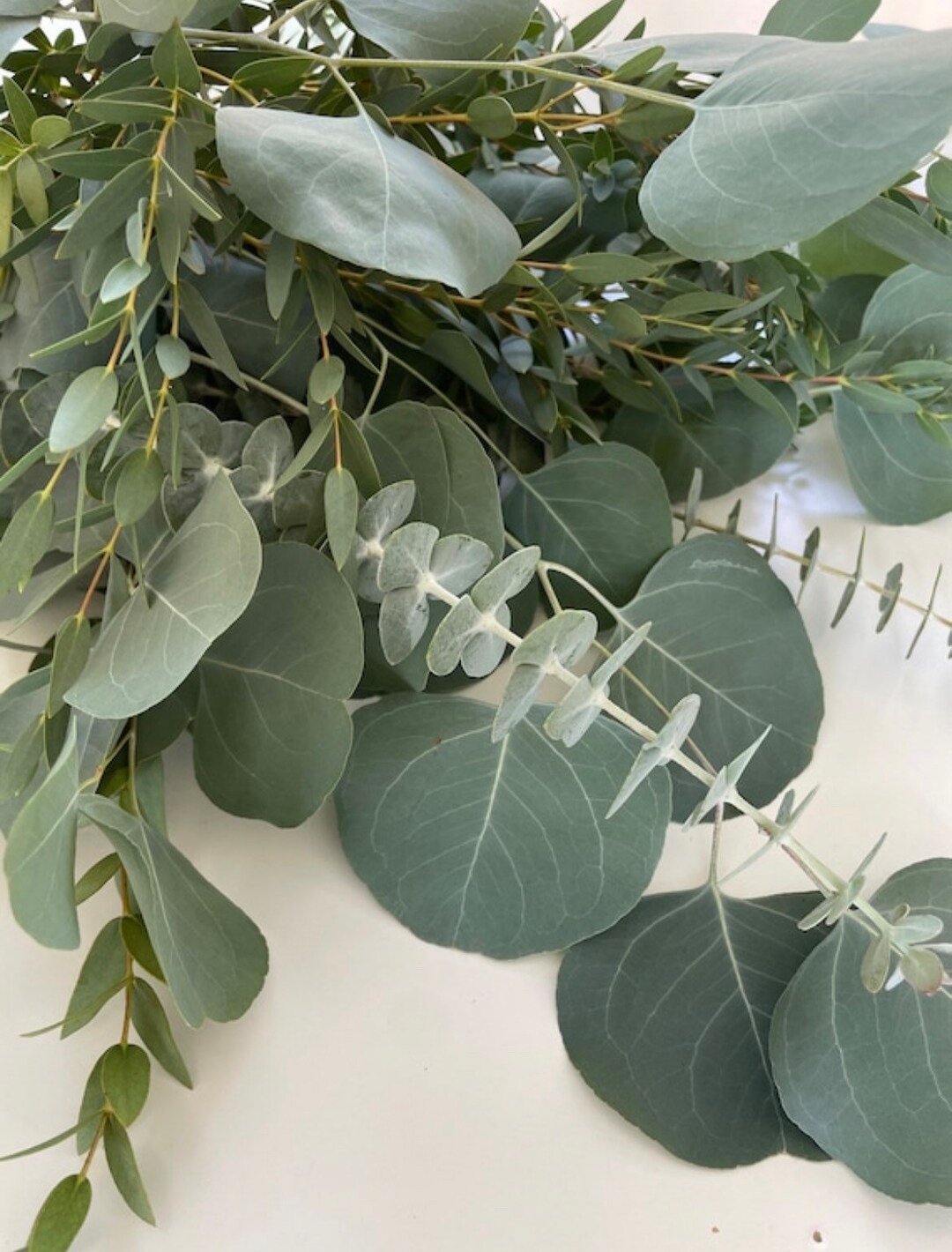 DIY Wedding Greenery // Eucalyptus Mix // DIY Wedding Eucalyptus ...