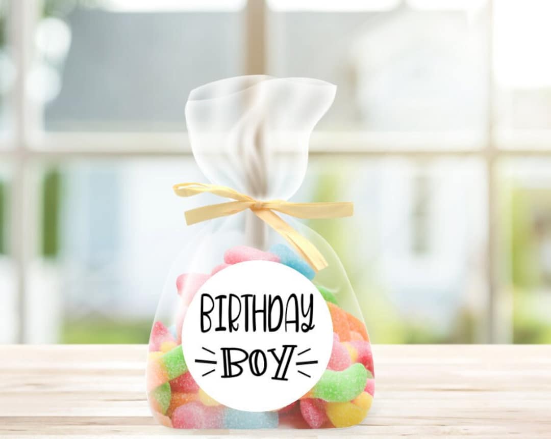 Birthday Boy Stickers, Birthday Boy 20 Piece Sheet of Matte White Round ...