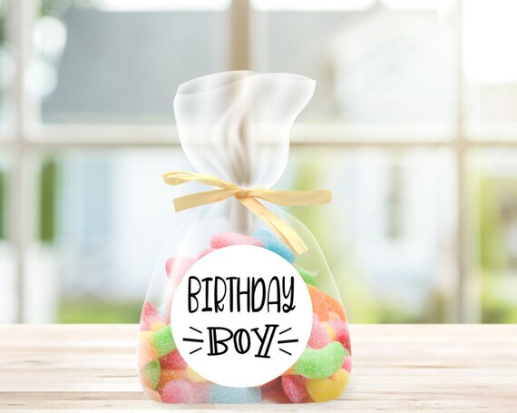 Birthday Boy Stickers Birthday Boy 20 Piece Sheet of Matte - Etsy