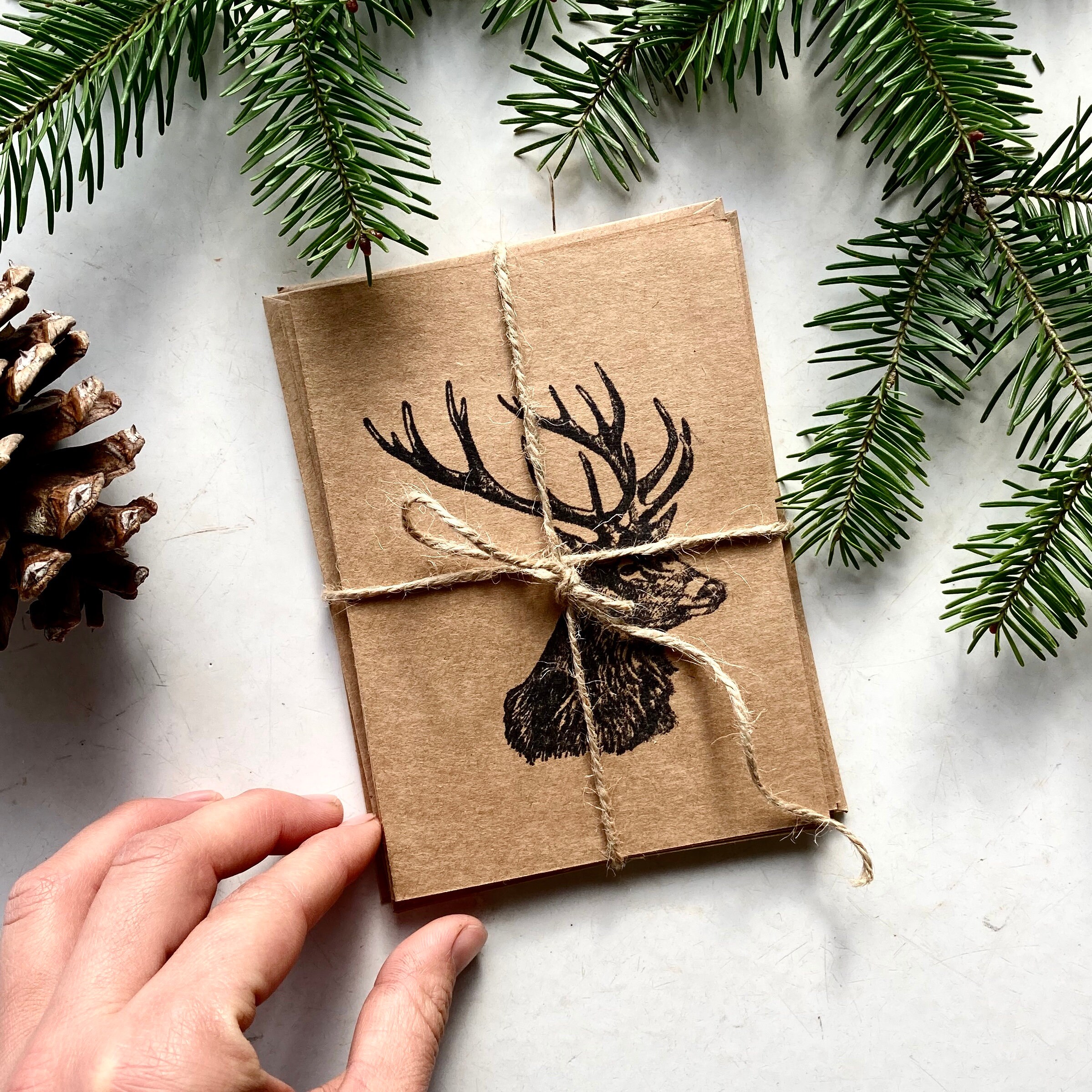 Buck Winter Cards,simple Cards With Stamped Envelopes,nature Cards ...