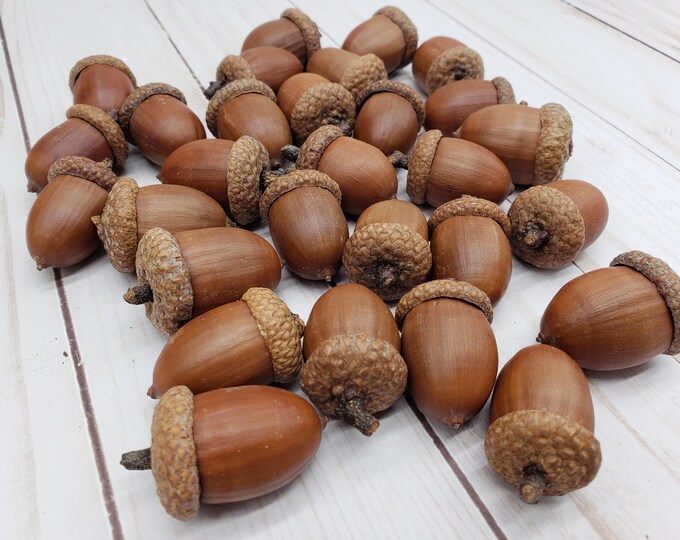 25 Large/extra Large/jumbo Natural Real Acorns With Caps DIY Crafts ...